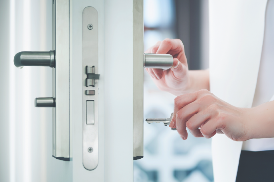 Guide to Electronic Locking CDVI France